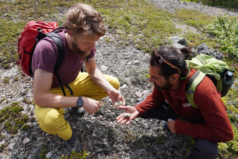 4 Hour Off-Trail Wilderness Wonders Tour in Denali - Authenticity and Value