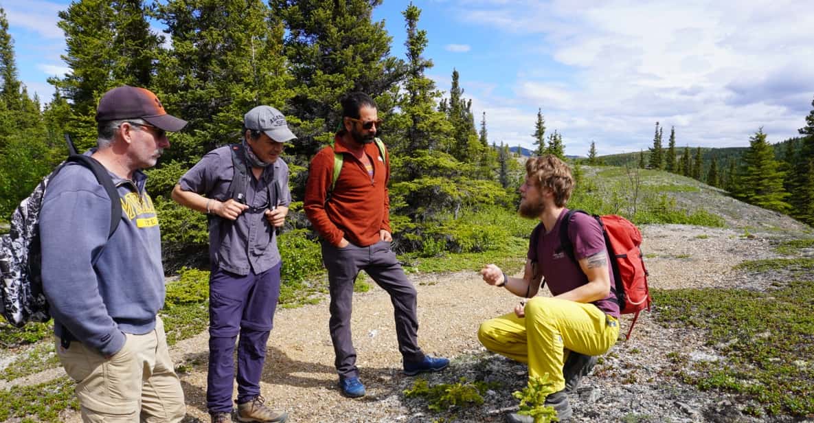 4 Hour Off-Trail Wilderness Wonders Tour in Denali - An In-Depth Look at the Denali Wilderness Wonders Tour