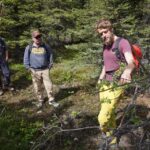 4 Hour Off-Trail Wilderness Wonders Tour in Denali - Who Is This Tour Best For?