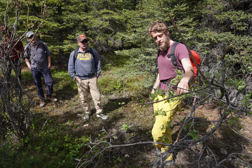 4 Hour Off-Trail Wilderness Wonders Tour in Denali - Who Is This Tour Best For?