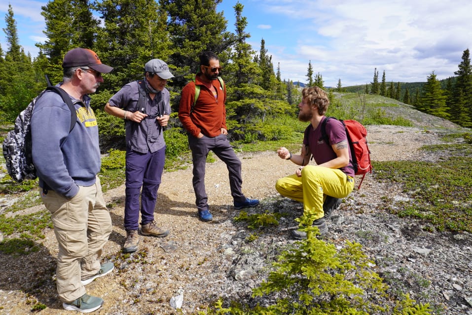 4 Hour Off-Trail Wilderness Wonders Tour in Denali - Final Thoughts