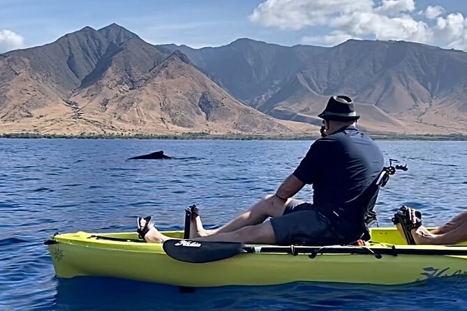 4 hour Private Custom Kayak Tour Lahaina - Why This Tour Offers Great Value