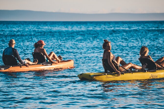 4 hour Private Custom Kayak Tour Lahaina - The Sum Up