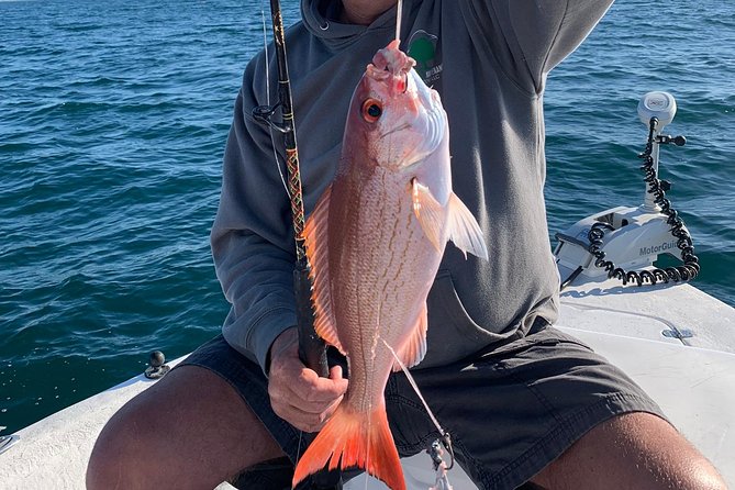 4-Hour Private Near-Shore Fishing Charter from Orange Beach - The Value of a Private Fishing Trip