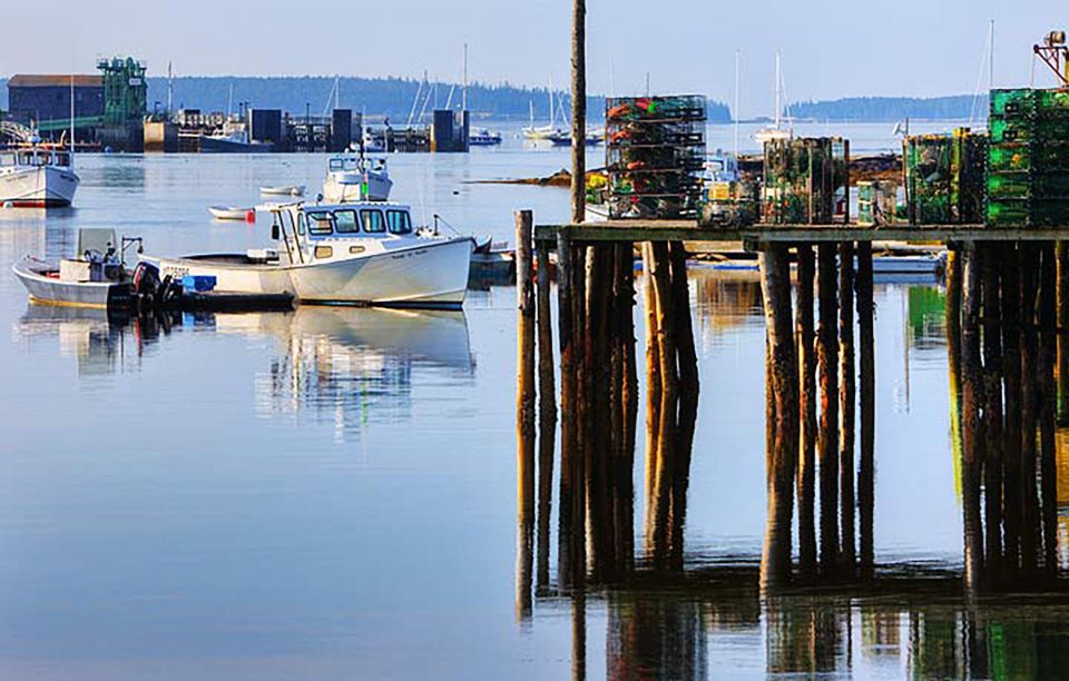 4 Hour Private Tour: Acadia, Fjord, Gardens & Mansions - Key Points
