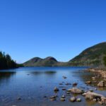 4 Hour Private Tour: Acadia, Fjord, Gardens & Mansions - Price and Value