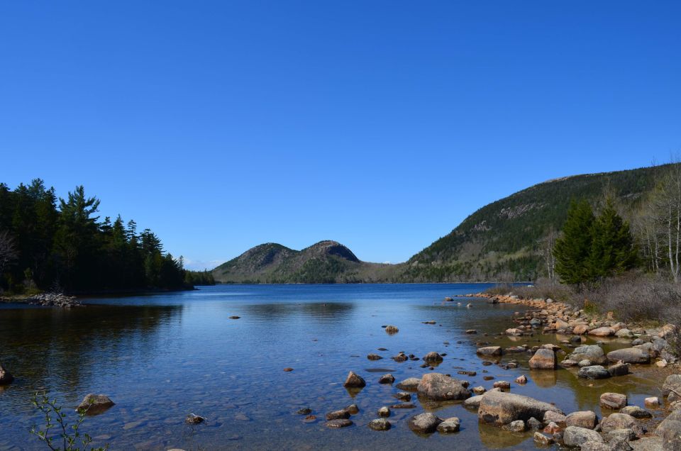 4 Hour Private Tour: Acadia, Fjord, Gardens & Mansions - Price and Value