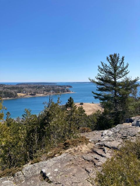 4 Hour Private Tour: Acadia, Fjord, Gardens & Mansions - Who Is This Tour Best For?