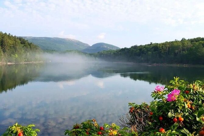 4 Hour Private Tour: Explore Acadia Nat'l Park, Fjord & Mansions - A Closer Look at the Itinerary