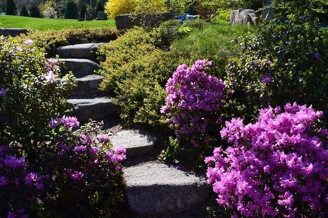 4 Hour Private Tour: Explore Acadia Nat'l Park, Fjord & Mansions - What Makes This Tour Stand Out?