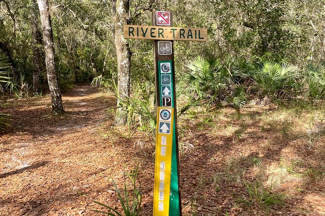 4-hour Rental Mountain Bike Experience - Key Points