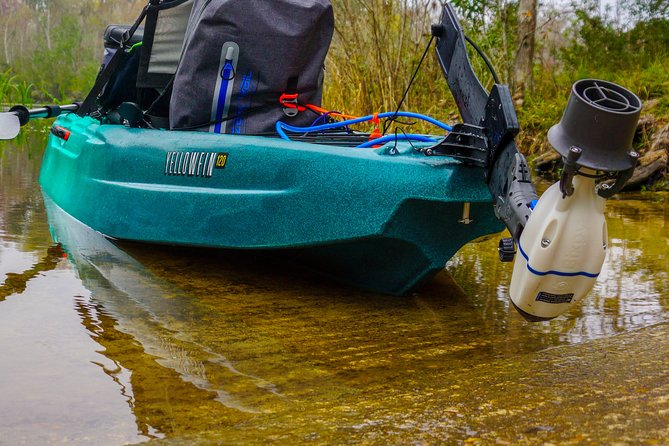4-Hour Rental Premium Motorized Fishing Kayak - Deep Dive: Why Choose This Tour?