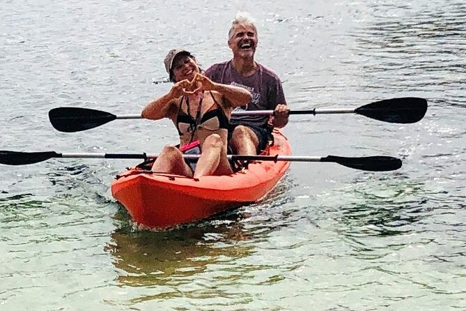 4 Hour Single Kayak Rental In Crystal River, Florida - The Wildlife: What You Might Encounter