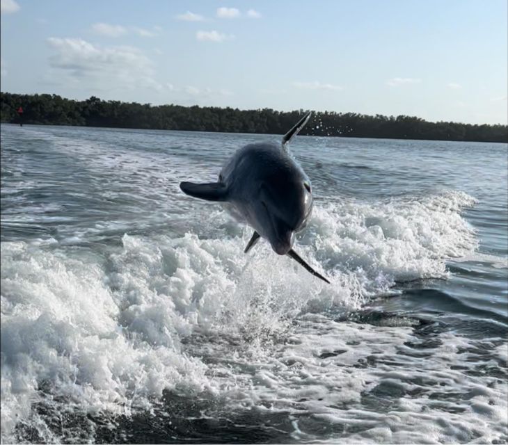 4 Hour  Snorkel & Sandbar Adventure - The Extras and Comforts