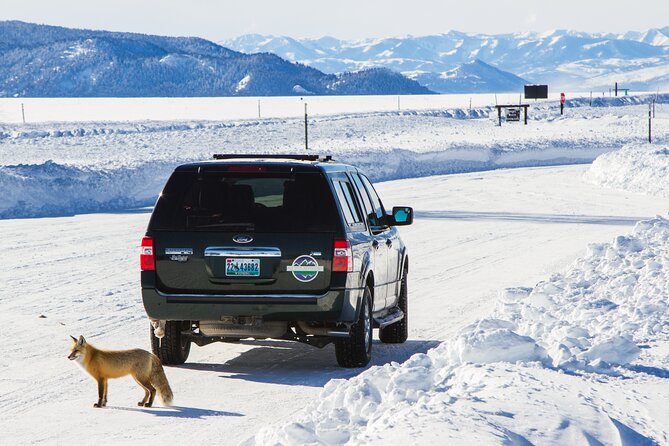 4 hour Snowshoe in Grand Teton National Park - Who Will Love This Tour?