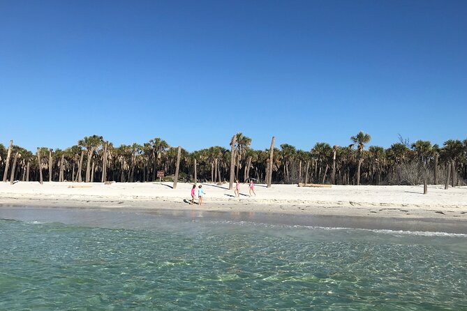 4-Hour St. Pete Pier to Egmont Key Experience by Ferry - Key Points