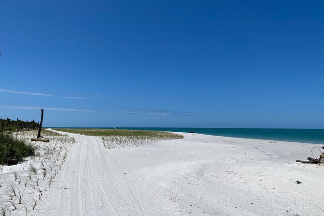 4-Hour St. Pete Pier to Egmont Key Experience by Ferry - Final Thoughts: Is This Tour Worth It?