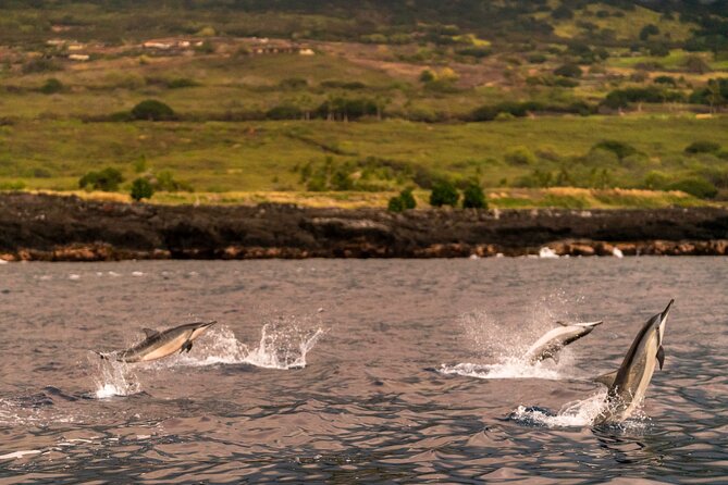 4 Hour Super-Raft Snorkeling Experience in Kailua-Kona - Pricing and Value