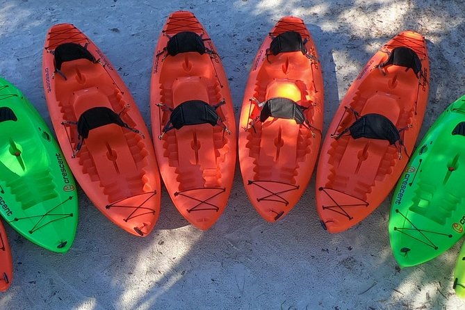 4 Hour Tandem Kayak Rental For Two People In Crystal River, Florida - Why Choose the 4-Hour Tandem Kayak Rental?