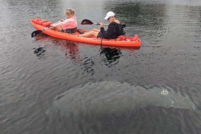 4 Hour Tandem Kayak Rental For Two People In Crystal River, Florida - What’s Included and What’s Not?