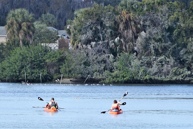 4 Hour Tandem Kayak Rental For Two People In Crystal River, Florida - Navigating the Experience: What to Expect