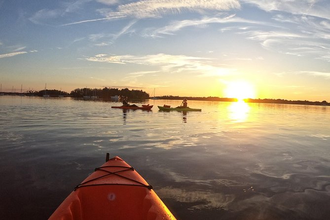 4 Hour Tandem Kayak Rental For Two People In Crystal River, Florida - Pricing and Value for Money