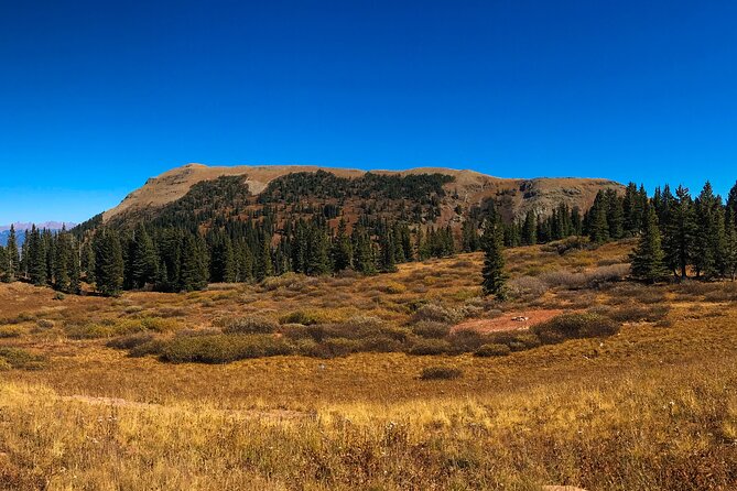 4 Hours Durango Colorado - Jeep Tour - Why This Tour Offers Great Value