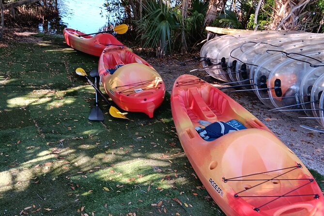 4 Hours Fishing Kayak Rentals - Who Will Enjoy This Tour?
