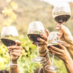 4 Hours Private Wine Tour in Sedona - The Practical Side: What to Expect