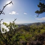 4 Hours Tour Beyond the Golden Gate Bridge Marin Headlands and Sausalito - The Benefits of a Self-Driven, Flexible Tour