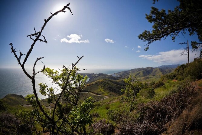 4 Hours Tour Beyond the Golden Gate Bridge Marin Headlands and Sausalito - The Benefits of a Self-Driven, Flexible Tour