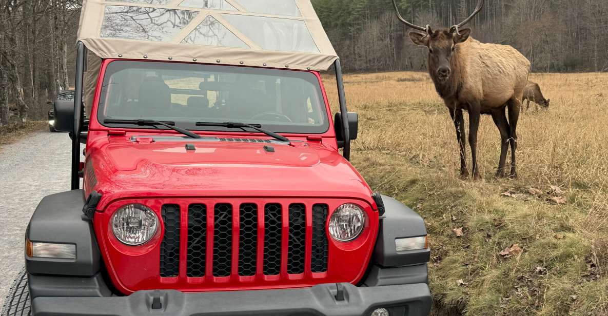 4 HR. Guided Safari Jeep Eco Waterfall Adventure - Who Should Book This Tour?  