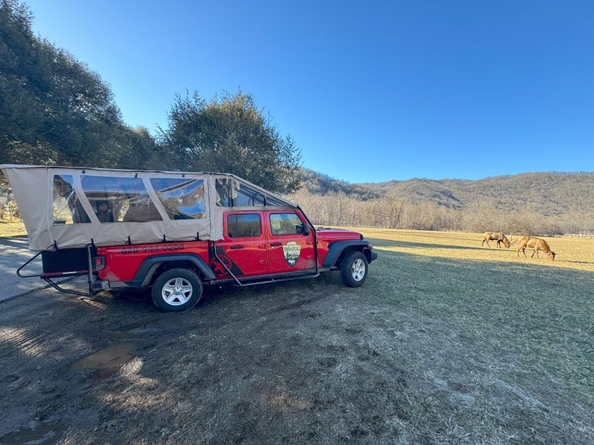 4 HR. Guided Safari Jeep Eco Waterfall Adventure - FAQs  
