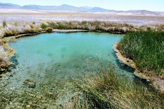 4 hr Private Adventure to Secret Hot Springs near Death Valley - The Beauty and Benefits of Tecopa Hot Springs