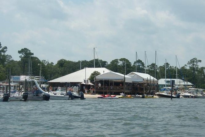 4 or 6-Hour Private Island Hopping Cruise from Orange Beach - Final Thoughts: Who Is This Tour Best For?
