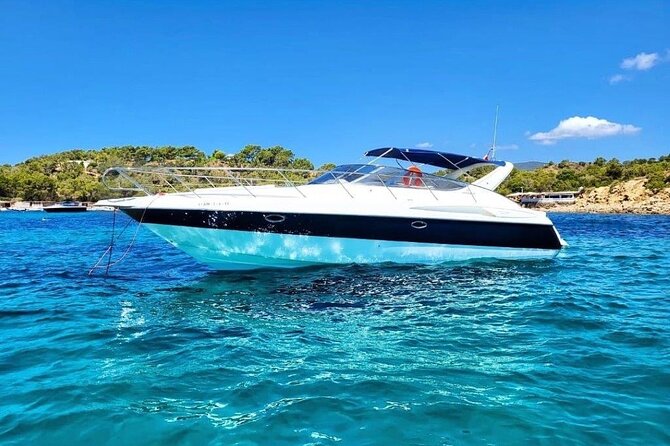 41 Luxury Boat with Captain 4 hours Palm Beach -Jupiter for 8 - Introduction
