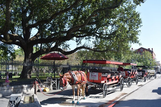 45 Minute Highlights Tour of the French Quarter - Key Points