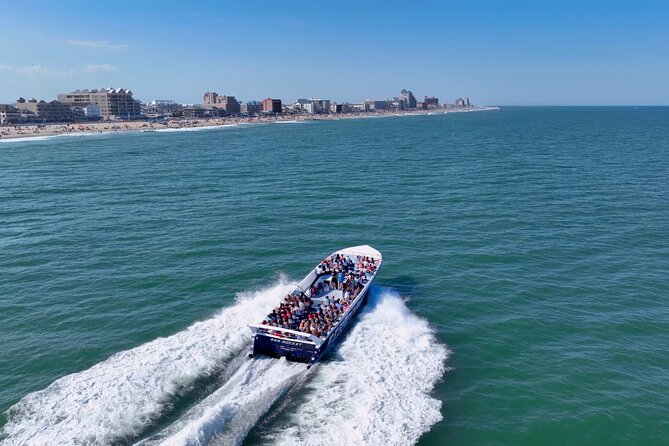 45-Minute Sea Rocket Speed Boat & Dolphin Cruise in Ocean City MD - Practical Details & Tips for Travelers