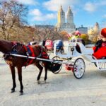 45 Minute VIP Central Park Carriage Ride - The Itinerary: What Sights Will You See?