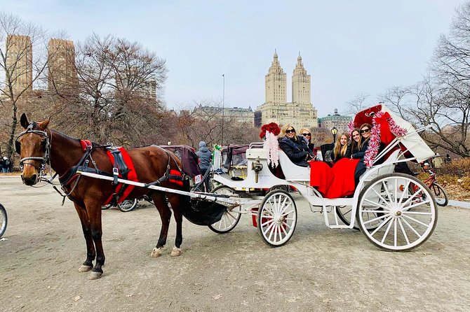 45 Minute VIP Central Park Carriage Ride - Why Travelers Love This Experience