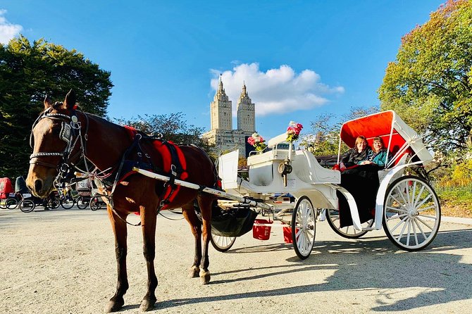 45 Minute VIP Central Park Carriage Ride - Who Should Consider This Tour?
