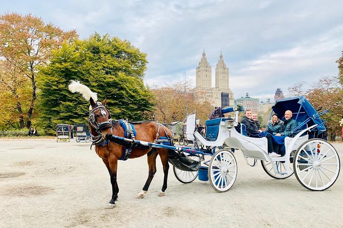 45 Minute VIP Central Park Carriage Ride - Final Thoughts: Is It Worth It?