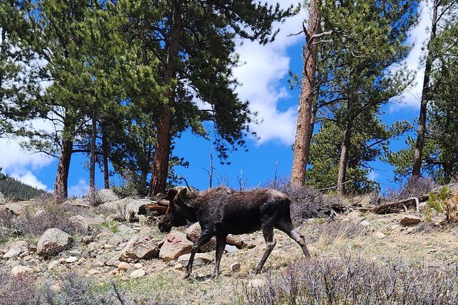 4WD Panoramic Peak Photo Tour in Estes Park - Final Thoughts