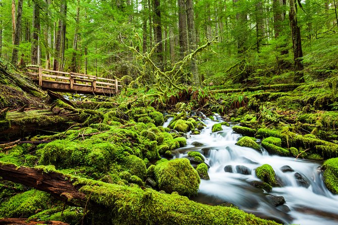 5-Day Olympic Backpacking - Hoh Rainforest and the Blue Glacier - Key Points  