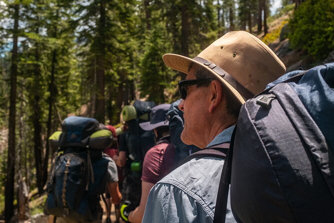 5-Day Olympic Backpacking - Hoh Rainforest and the Blue Glacier - Authentic Experiences and Surprising Details  