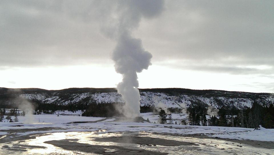5-Day Winter Yellowstone Wildlife Tour - Practical Details and Value