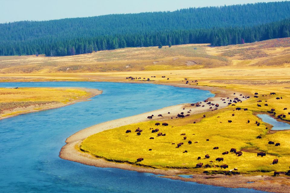 5-Day Winter Yellowstone Wildlife Tour - Who Is This Tour For?