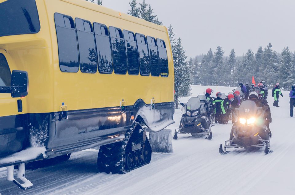 5-Day Winter Yellowstone Wildlife Tour - Final Thoughts