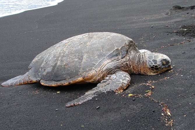 5 Hour Custom Private Tour of Hawaii - Frequently Asked Questions