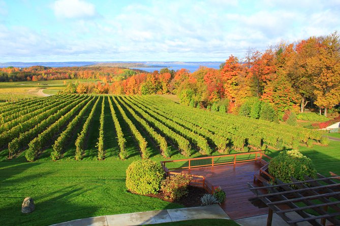 5-Hour Traverse City Wine Tour: 4 Wineries on Old Mission Peninsula - Who Would Love This Tour?